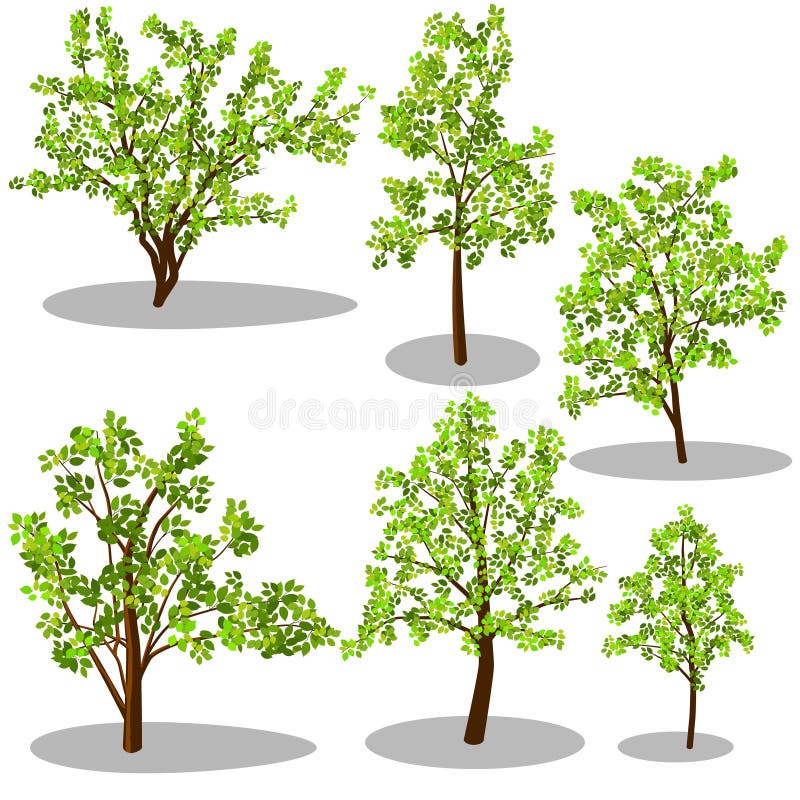 Vector Isometric Trees and Decorative Bushes Stock Vector ...