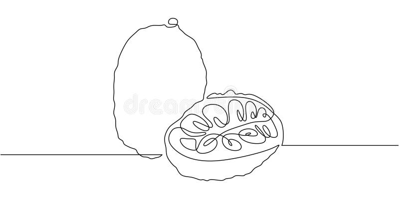 Vector Jackfruit One Line Drawing. Nature Tropical Food Illustration ...