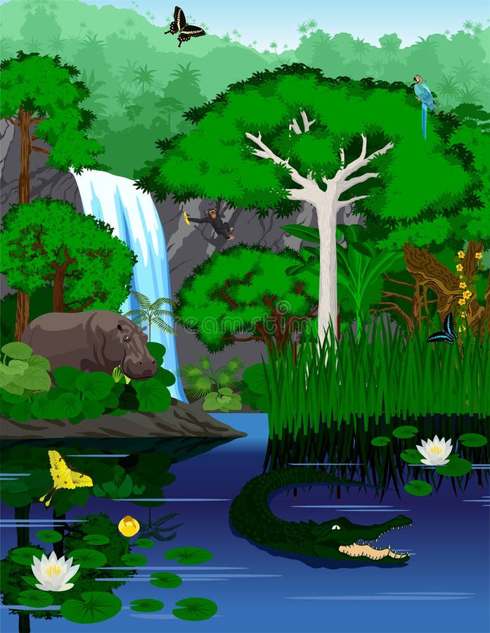 Rainforest Ecosystem Drawing Lush Tropical Rainforest With A Stream,