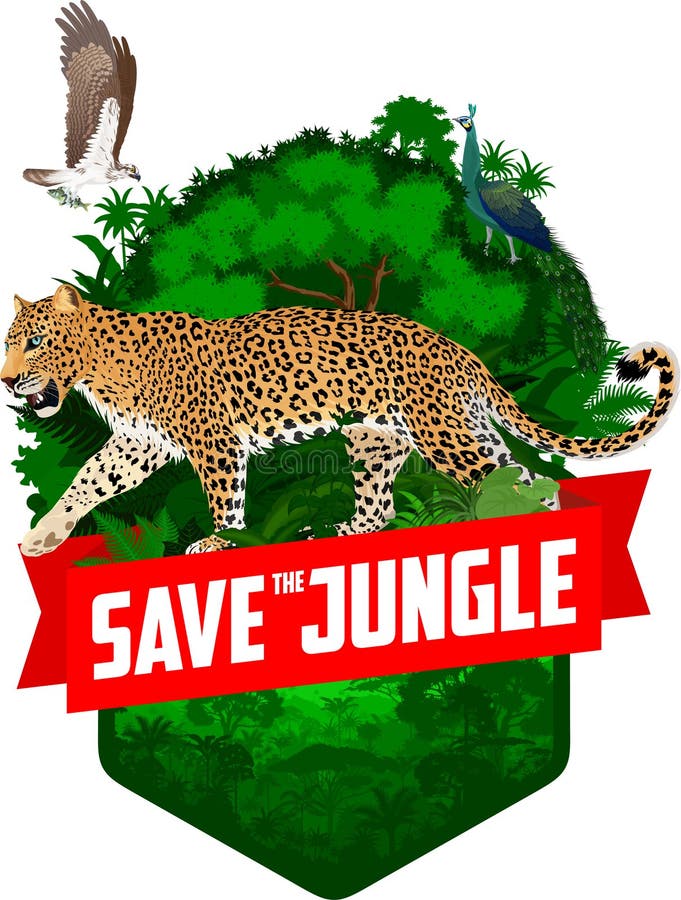 Vector Jungle Rainforest Emblem with Leopard, Osprey and Green Peafowl ...