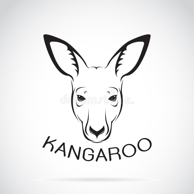 Kangaroo Head Icon. Logo on White Background. Vector Stock Vector ... Kangaroo Head Icon. Logo on White Background. Vector Stock Vector ...