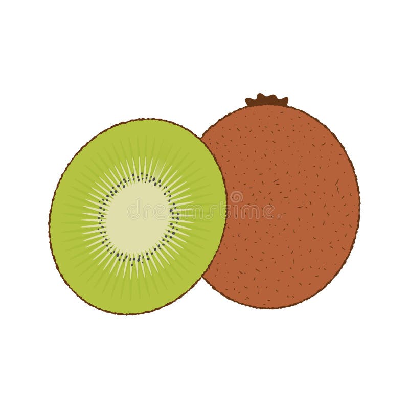 Vector Kiwi Whole and Half Cartoon. Tropical Fruit Stock Illustration ...