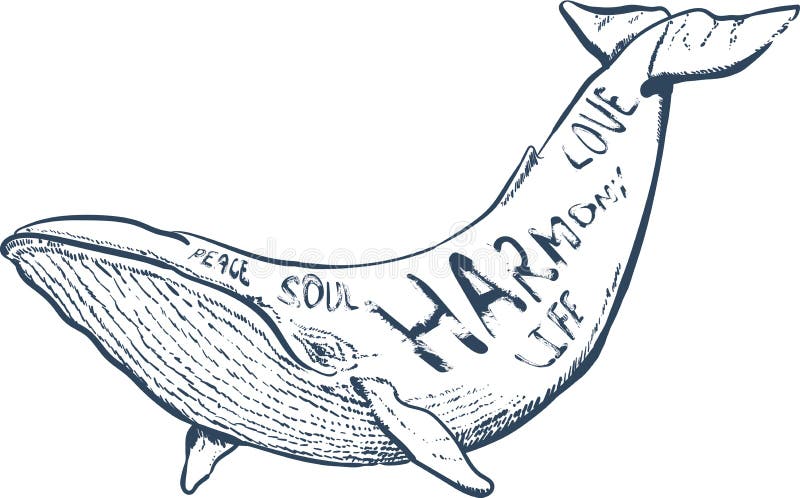 Vector L'illustrazione Con La Balena, Iscrizione Disegnata A Mano ... Vector L'illustrazione Con La Balena, Iscrizione Disegnata A Mano ...