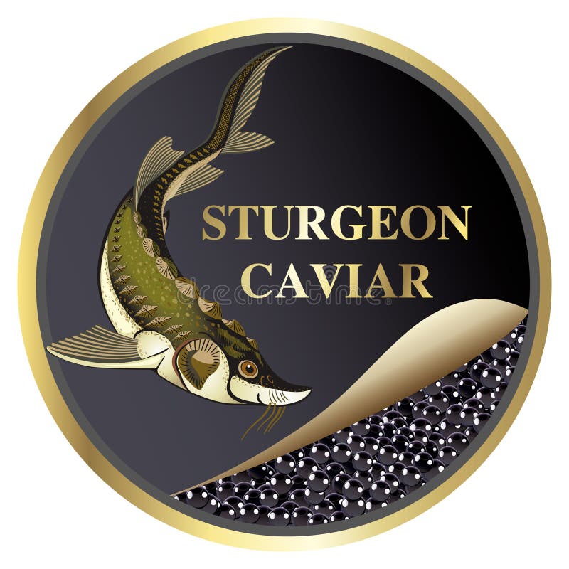 Caviar Sturgeon Vector Label Stock Illustrations – 68 Caviar Sturgeon ...