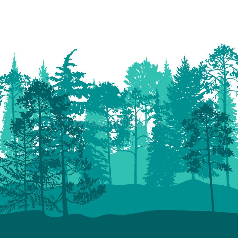 Vector Landscape with Pine Trees Stock Vector - Illustration of drawing ...