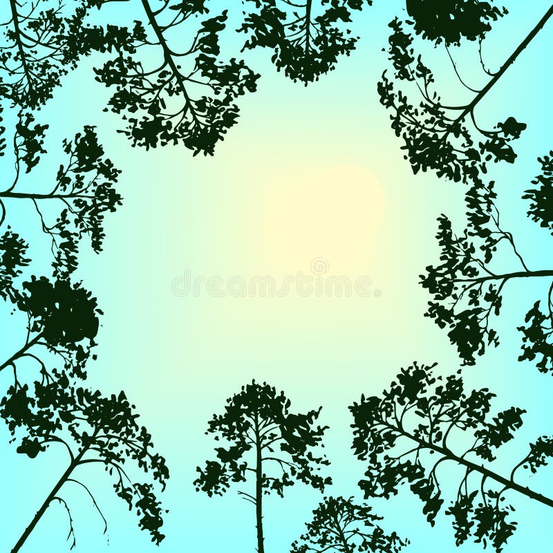 Vector Landscape with Sky and Pine Trees Stock Vector - Illustration of ...