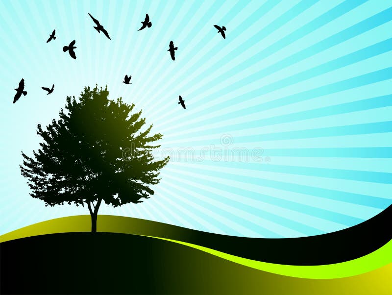 Birds and tree vector stock vector. Illustration of dusk - 12962490