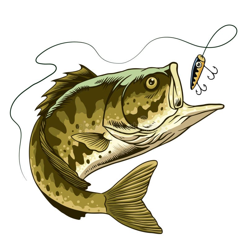 Largemouth Bass Fish Catching the Fishing Lure Stock Vector ...