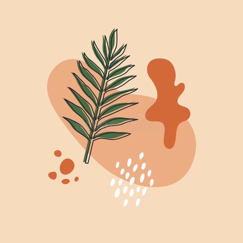 Vector Layouts with Hand-drawn Tropical Shapes and Textures Stock ...