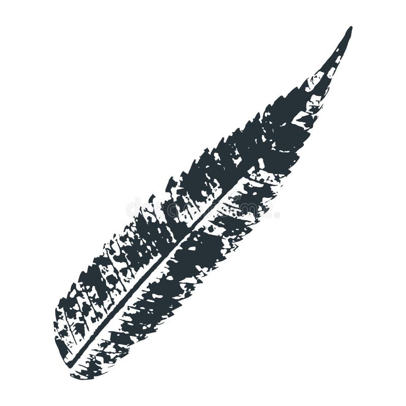 Vector Leaf Print. Inkprinted Leaves of the Trees on Paper Stock Vector ...