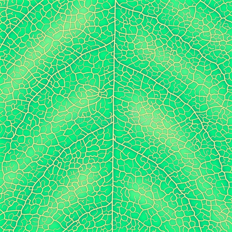 Vector Leaf Vein Texture stock photo. Illustration of vegetation ...