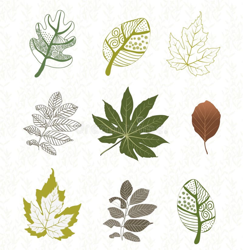 Vector leafs stock illustration. Illustration of concept - 40253050