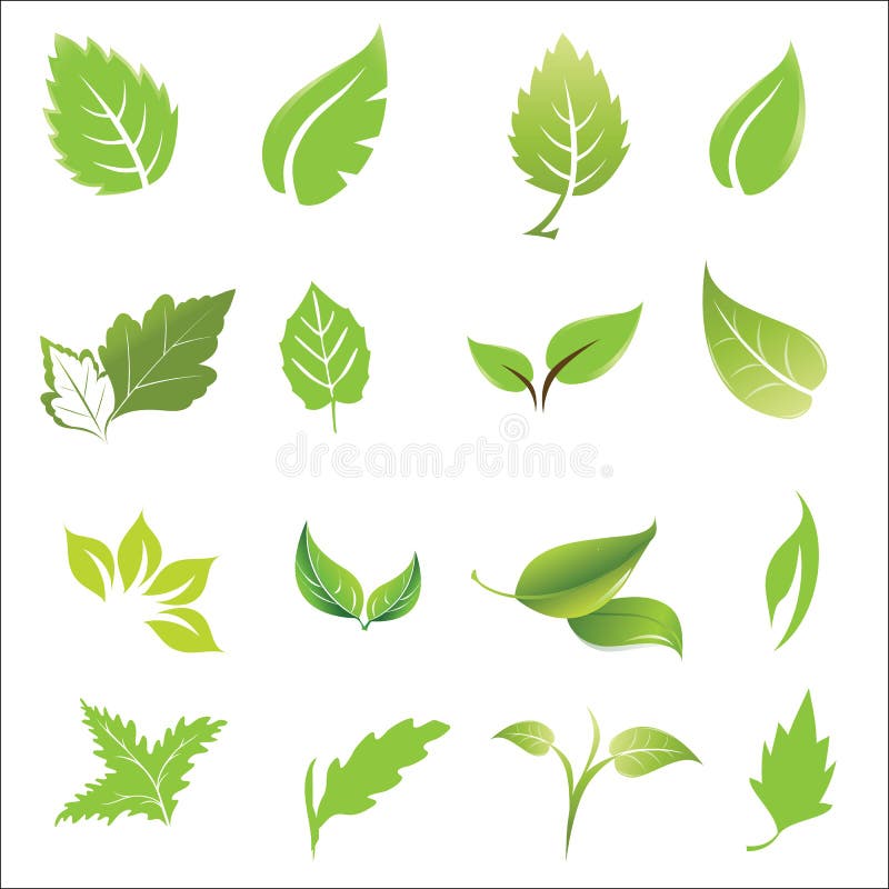 Vector Leave Icon Set in Style Stock Vector - Illustration of summer ...