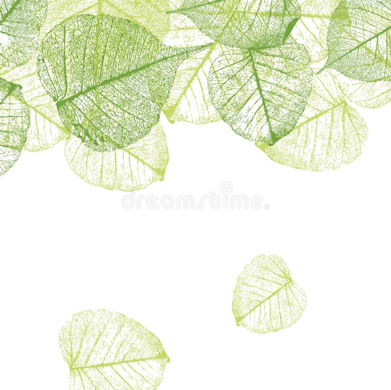 Vector leaves background stock vector. Illustration of grunge - 54118364