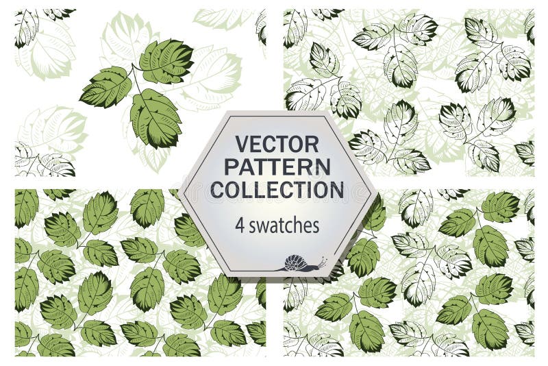 Vector Leaves Pattern Collection Stock Vector - Illustration of ...