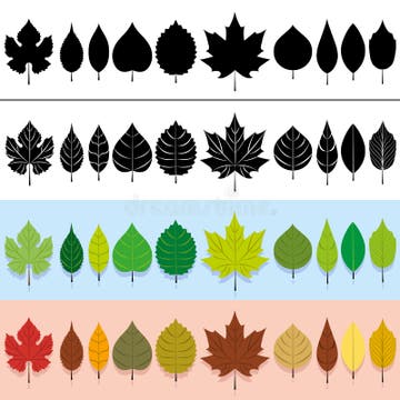 Vector Leaves Set stock vector. Illustration of decoration - 32242965