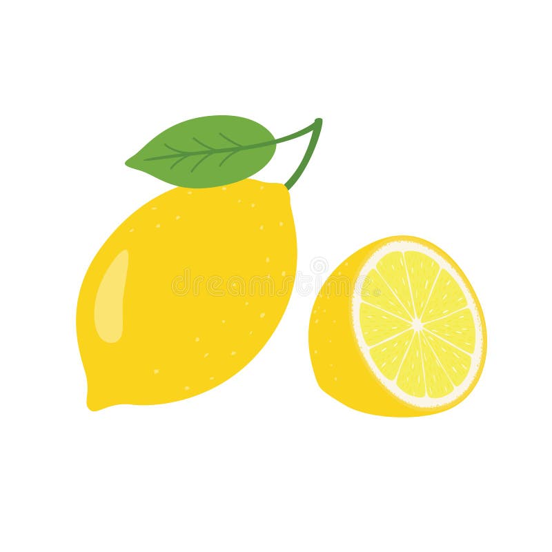 Vector Lemon. Fresh Lemon Fruits, Collection of Vector Illustrations ...