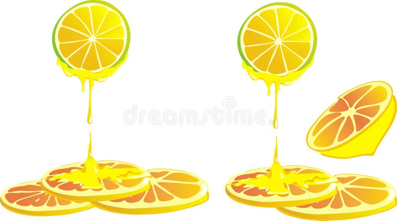 Vector lemon and honey stock illustration. Illustration of lemon - 14141362