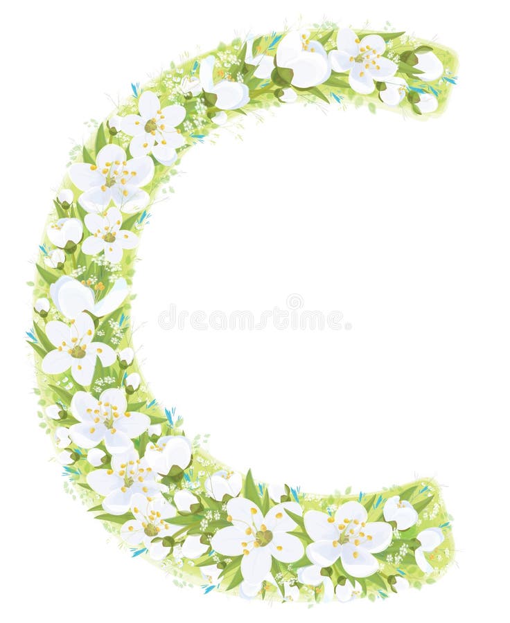 Vector Letter C Decorated White Flowers and Leaves Pattern. Stock ...