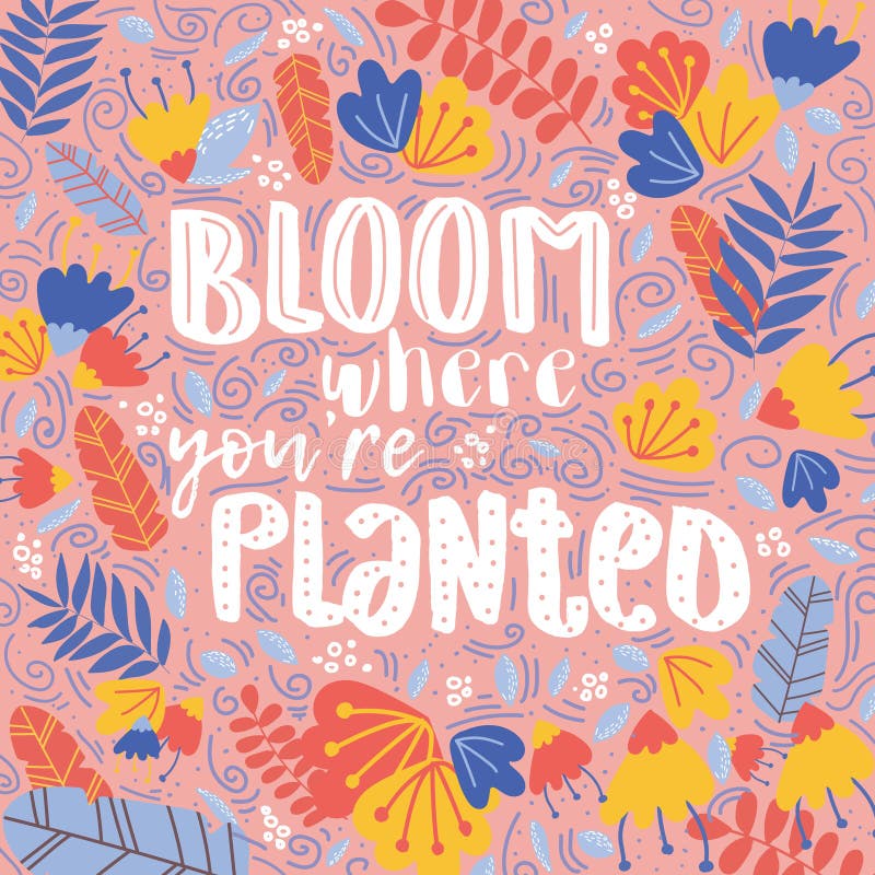 Vector Lettering Bloom Where You are Planted Decor Stock Vector ... Vector Lettering Bloom Where You are Planted Decor Stock Vector ...