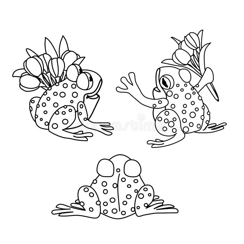 Cane Toad Stock Illustrations – 102 Cane Toad Stock Illustrations ...