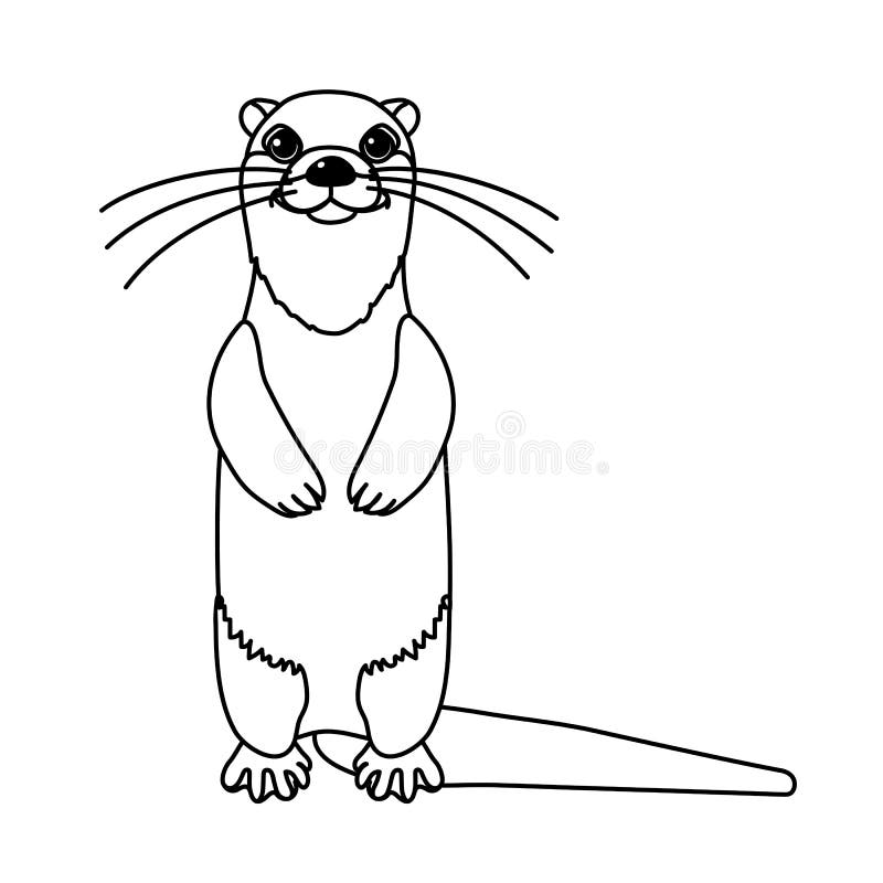 Otter Line Drawing Stock Illustrations – 265 Otter Line Drawing Stock ...