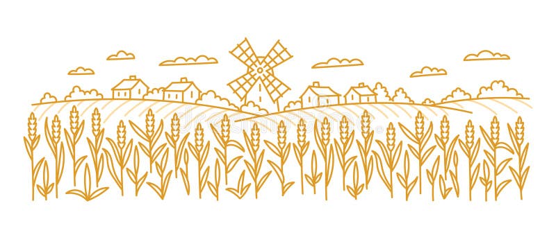 Landscape Fields with a Windmill. Wheat Spikelets in the Foreground ...