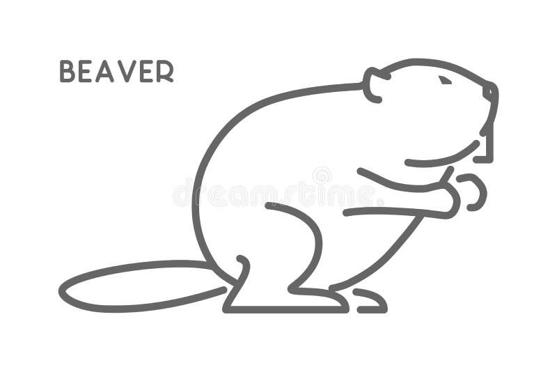 Vector Line Figure of Beaver Stock Illustration - Illustration of logo ...