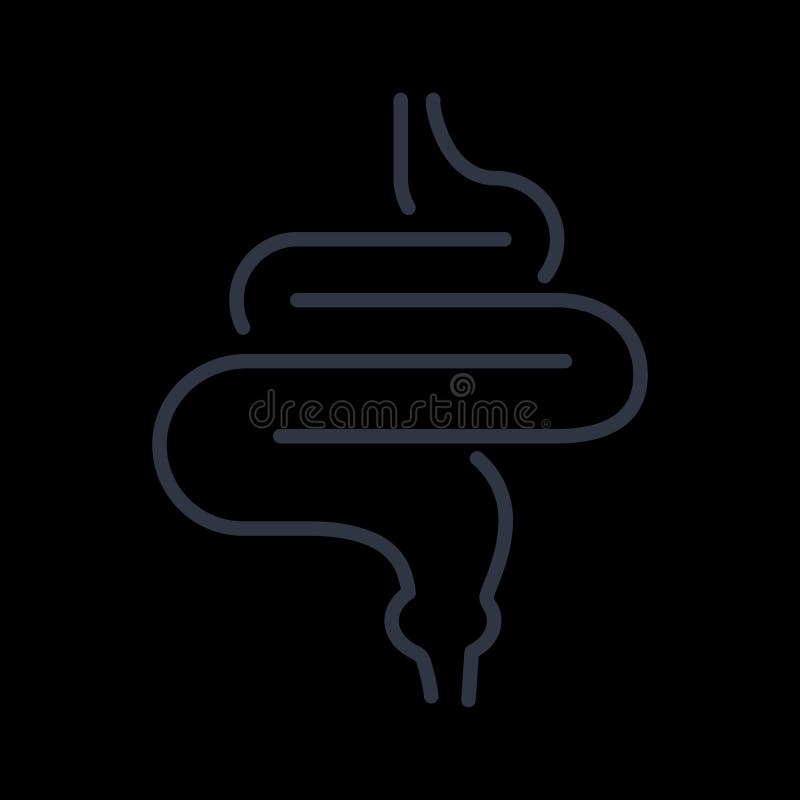 Digestive System Tract Stock Illustrations – 8,842 Digestive System ...