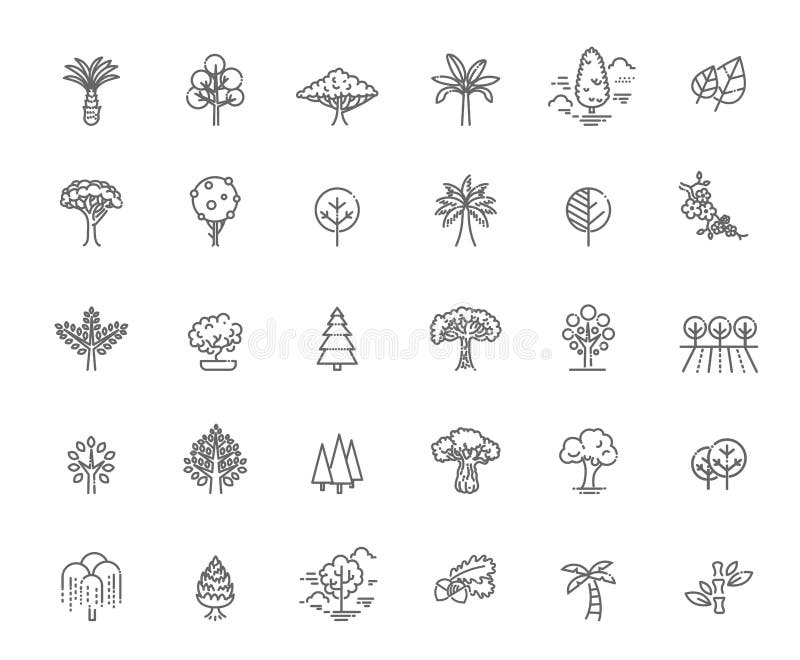 Set of Tree Shape Vector Line Icons. Stock Vector - Illustration of ...