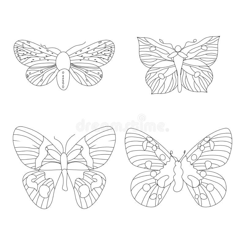 Vector Linear Drawing, Set of Cute Butterflies. Doodle Illustration ...