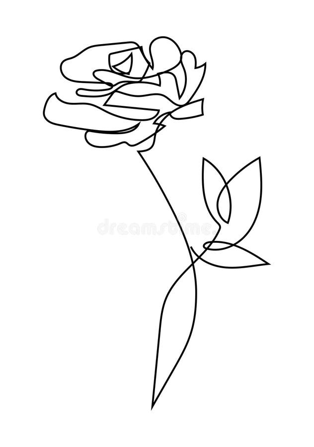 Vector Linear Graphics. Rose Flower Drawn in One Line. Stock Vector ...