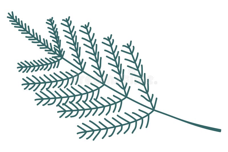 Vector Linear Green Spruce Branch. Simple and Primitive Geometry ...