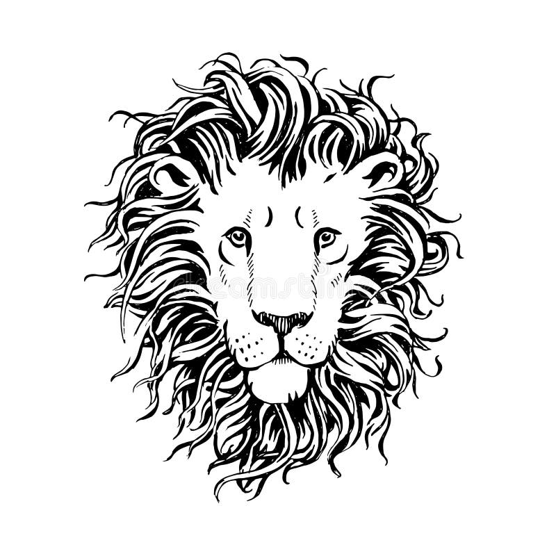Lion Draw Outline Stock Illustrations – 845 Lion Draw Outline Stock ...