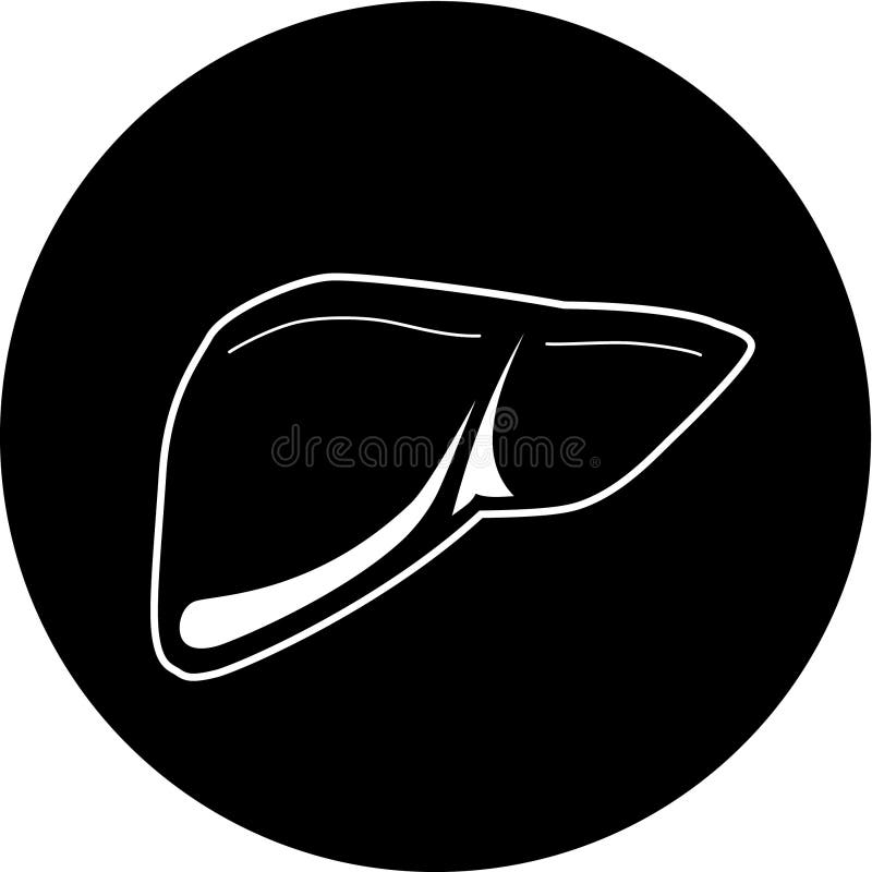 Vector liver icon stock vector. Illustration of lifestyle - 7498435