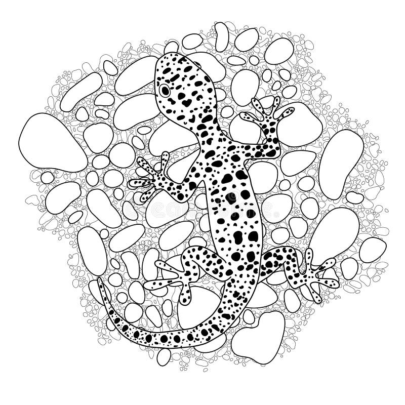 Vector Lizard Realistic and Detailed Illustration for a Coloring Book ...