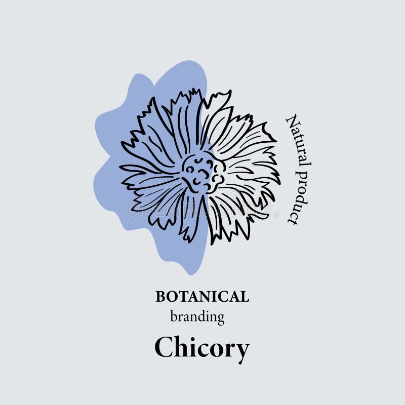 Vector Logo with Chicory Flower, Ready-made Icon for the Brand Stock ...