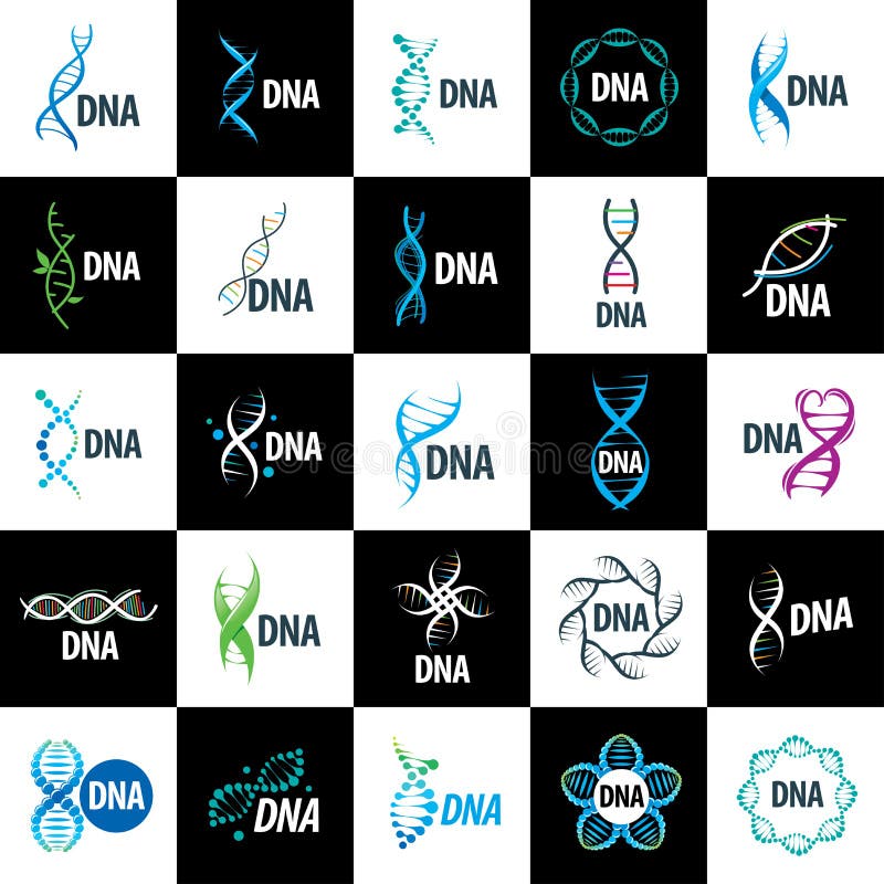 Vector logo dna stock vector. Illustration of gene, chromosome - 87505355