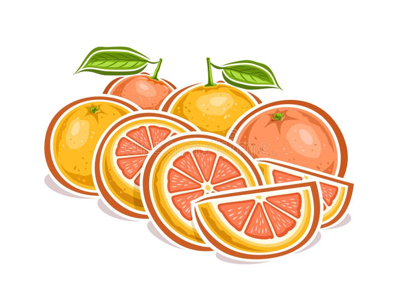 Vector Logo for Grapefruits Stock Vector - Illustration of orange, crop ...