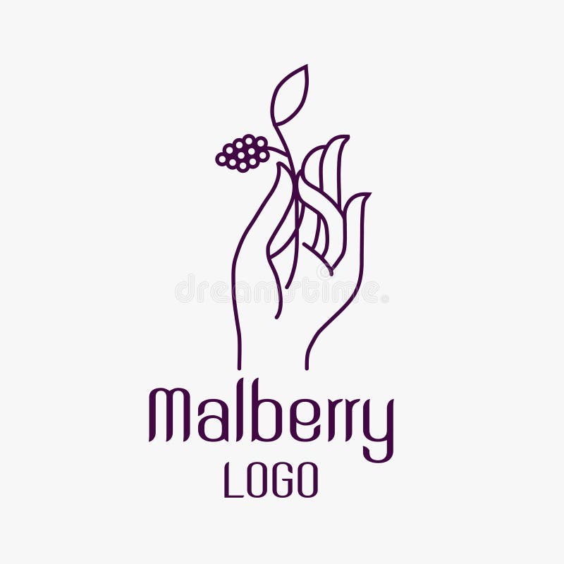 Vector logo for Mulberry stock vector. Illustration of natural - 142525754
