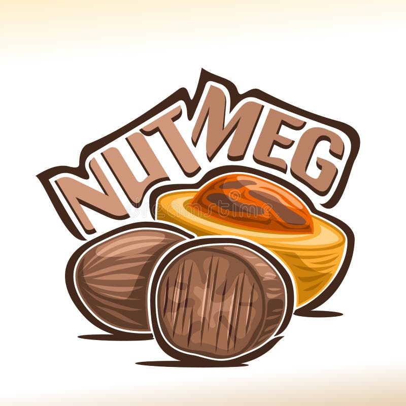 Spice Nutmeg Stock Illustrations – 3,445 Spice Nutmeg Stock ...