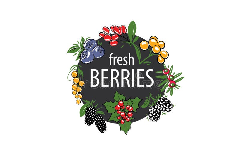 Vector Logo with Painted Fresh Berries. Stock Illustration ...