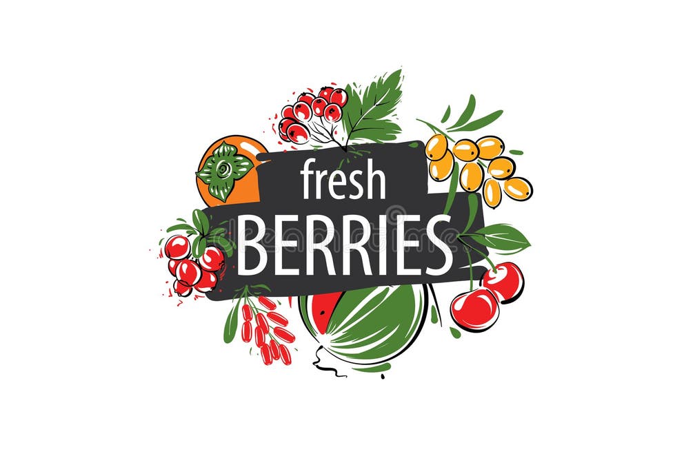 Vector Logo with Painted Fresh Berries. Stock Illustration ...