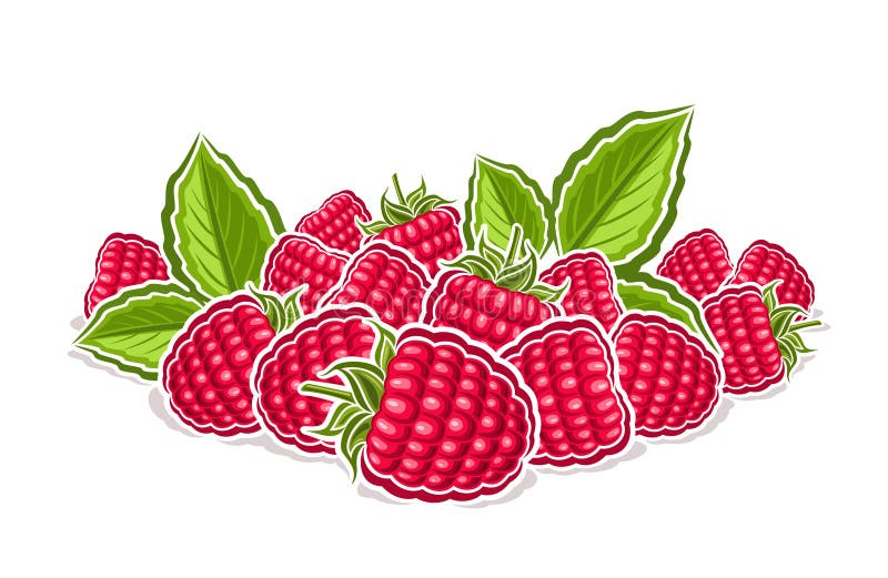 Vector logo for Raspberry stock vector. Illustration of harvest - 301404581 Vector logo for Raspberry stock vector. Illustration of harvest - 301404581