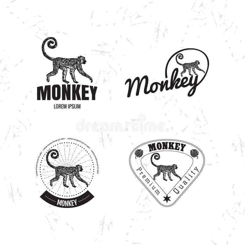 Vector Logo Set with Jungle Monkey Stock Illustration - Illustration of ...