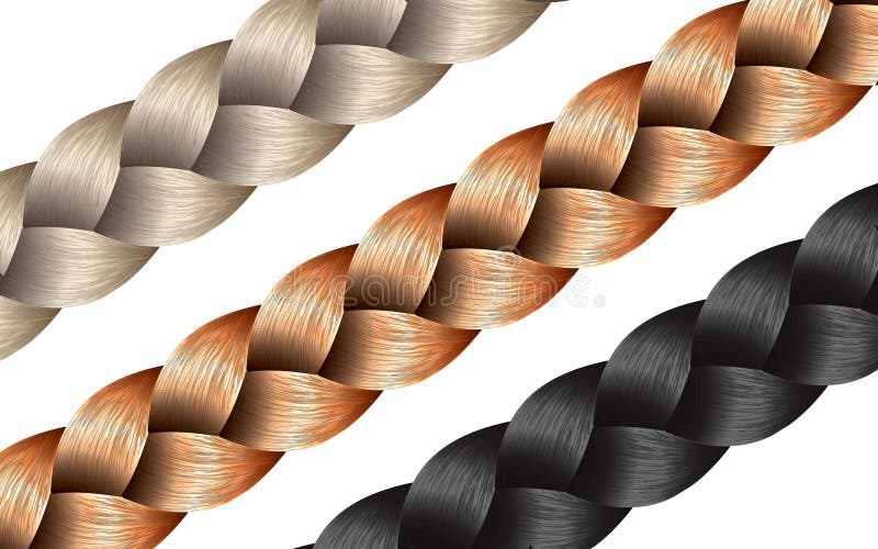 Vector Long Hair Braid Model Concept Three Isolated Blond, Brunet and ...