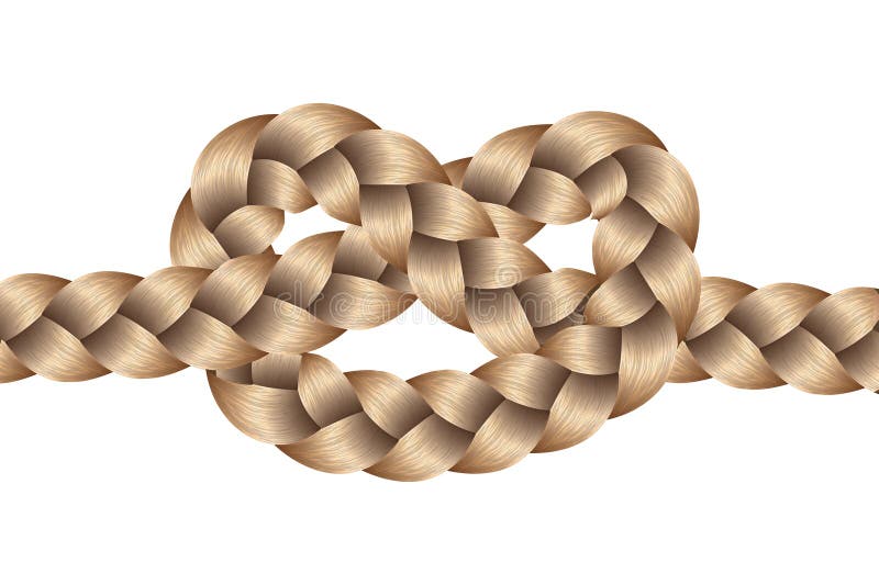Vector Long Hair Braid Model Knot Concept Isolated Blond Hairstyle ...