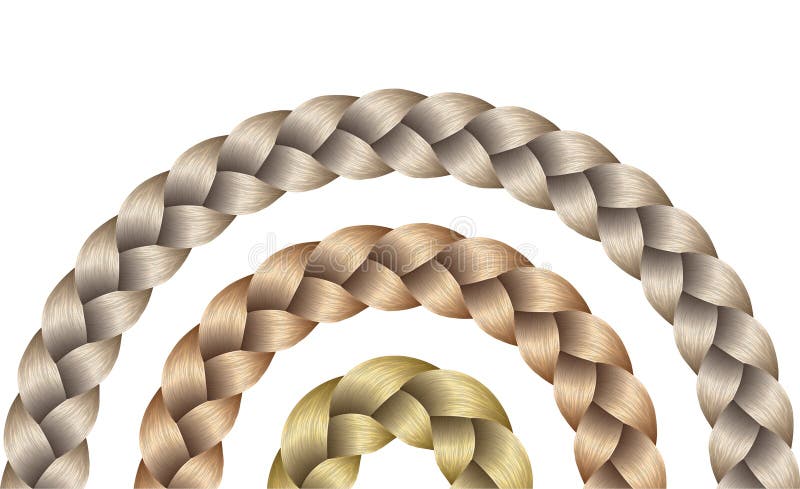 Vector Long Hair Braid Model Isolated Round Blond Hairstyle Frame ...