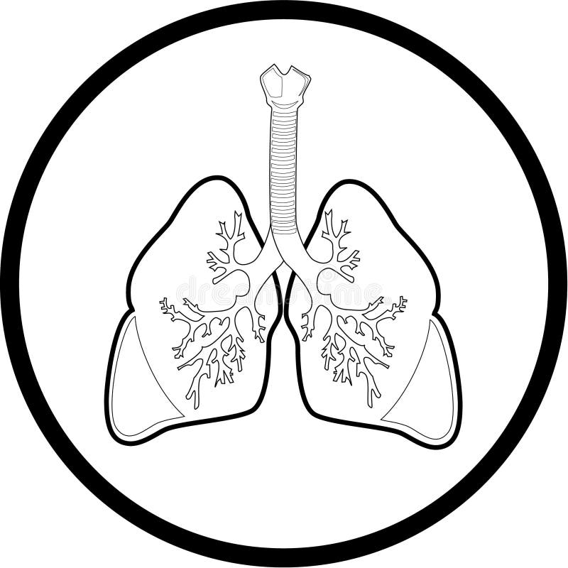 Vector lungs icon stock vector. Illustration of logo, breath - 7498441 Vector lungs icon stock vector. Illustration of logo, breath - 7498441