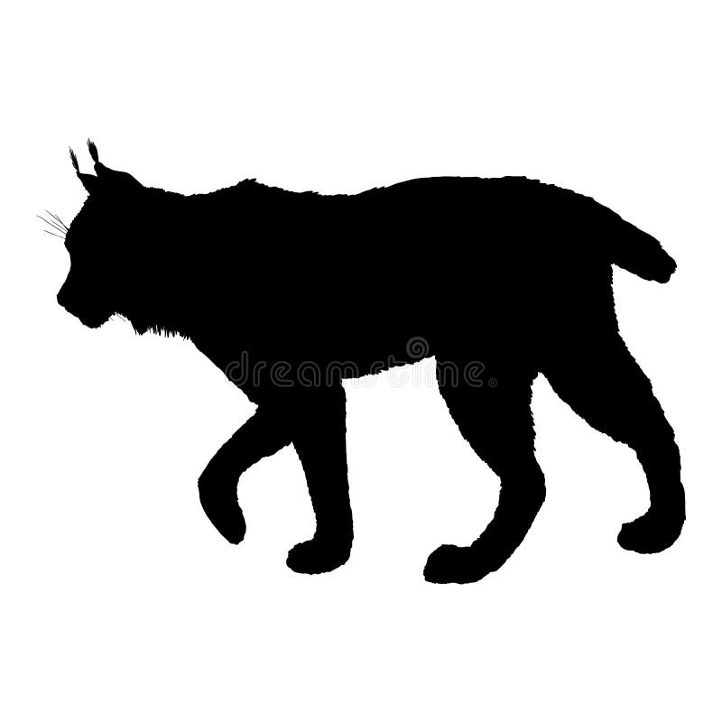 Vector Lynx SIlhouette Side View Illustration Stock Vector ...